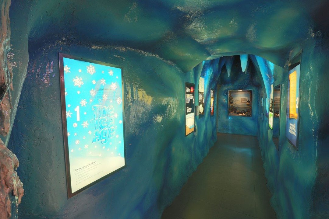 Exhibits - Creation Museum